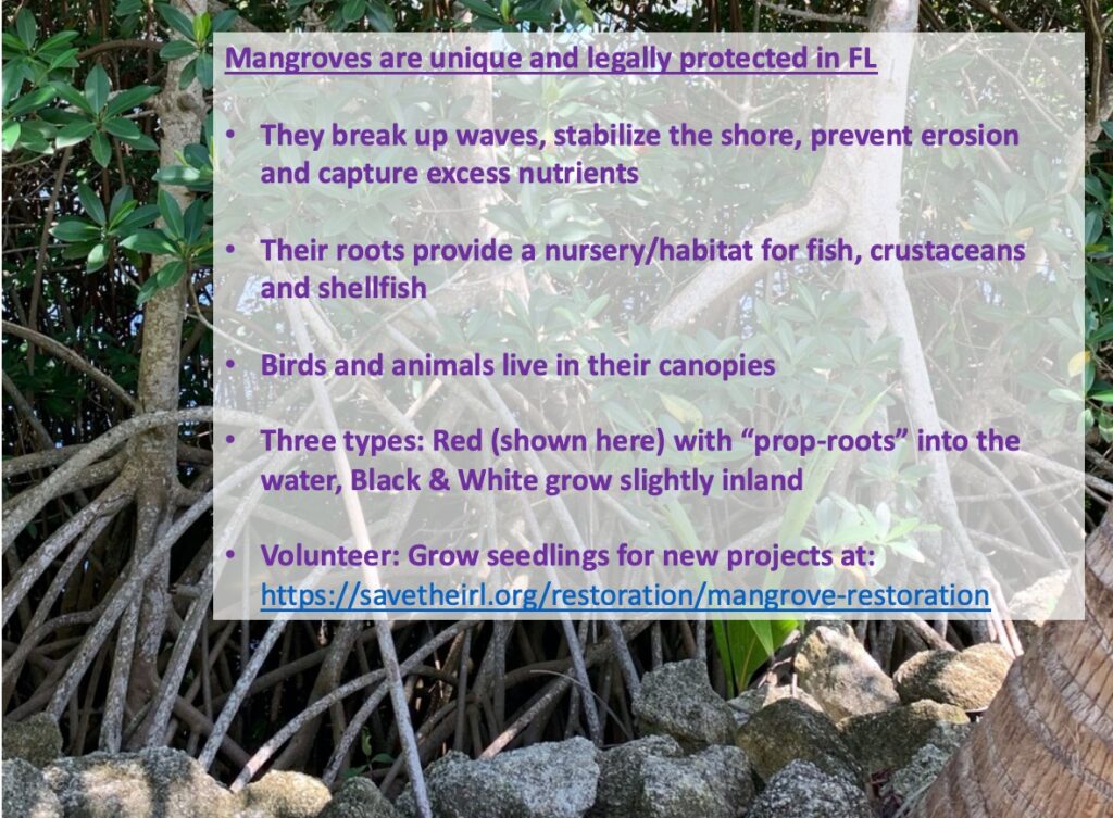 ST Projects - MRC Mangroves > Brevard Indian River Lagoon Coalition