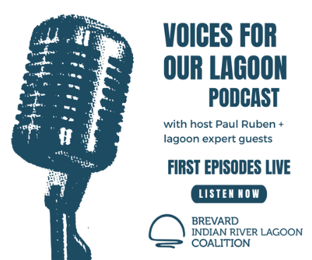Brevard Indian River Lagoon Coalition Brevard Indian River Lagoon Coalition