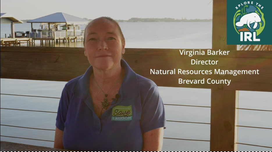 Brevard County Plan > Brevard Indian River Lagoon Coalition