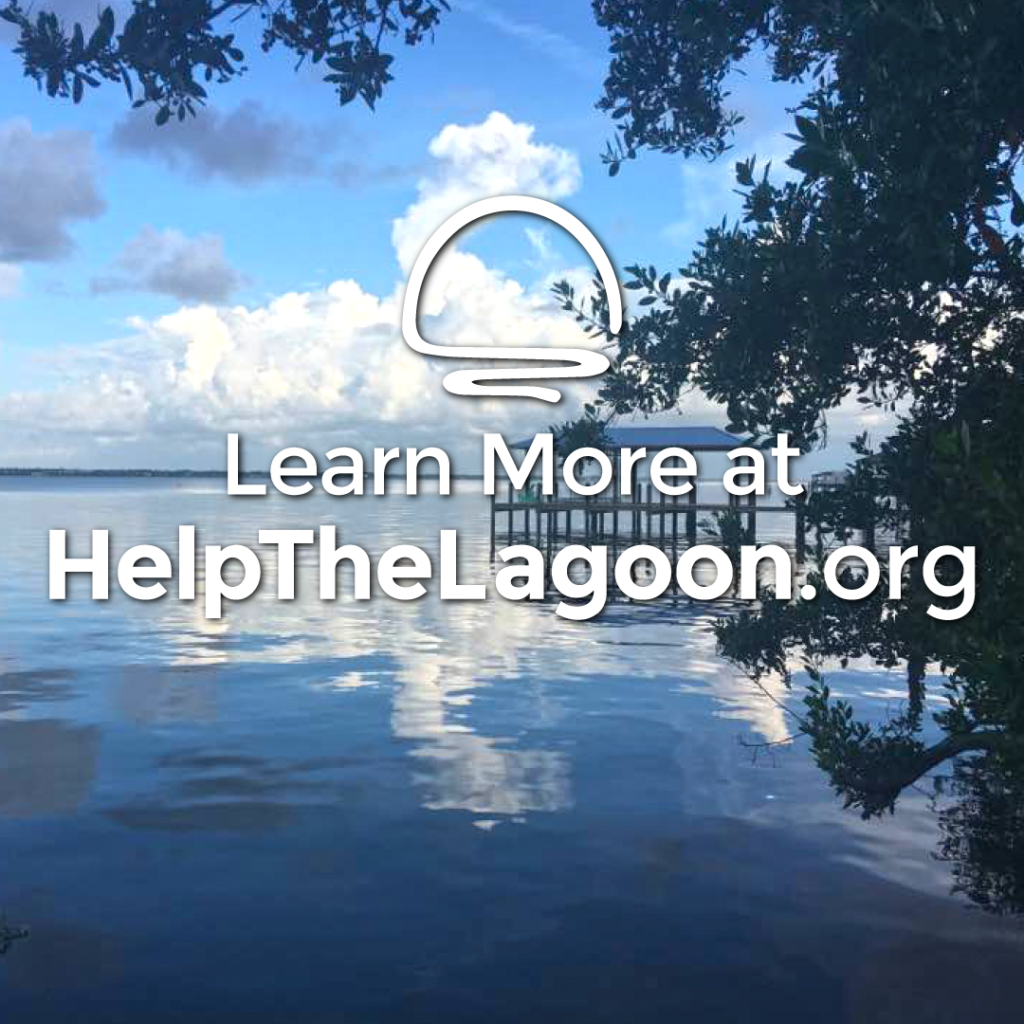 The Rain’s Coming-Hold the Fertilizer! > Brevard Indian River Lagoon Coalition