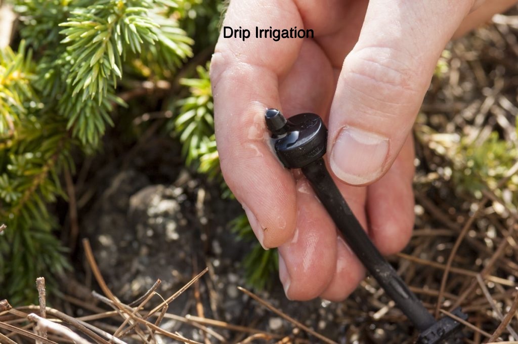 Save Money and the Lagoon with Smart Irrigation > Brevard Indian River ...