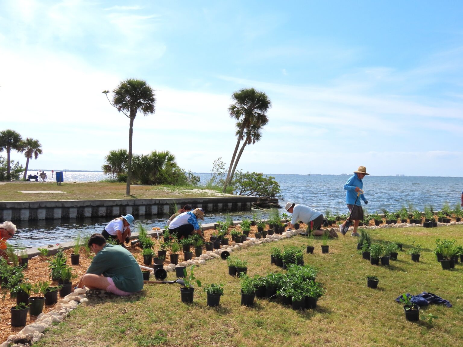 Habitat Restoration > Brevard Indian River Lagoon Coalition